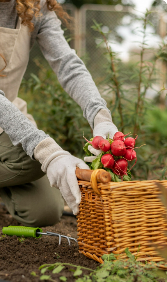 Buen viajero - ATF Turisferr